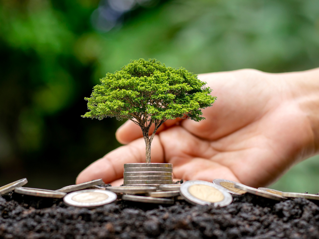 ALLCOT runner up in Environmental Finance Rankings 2022