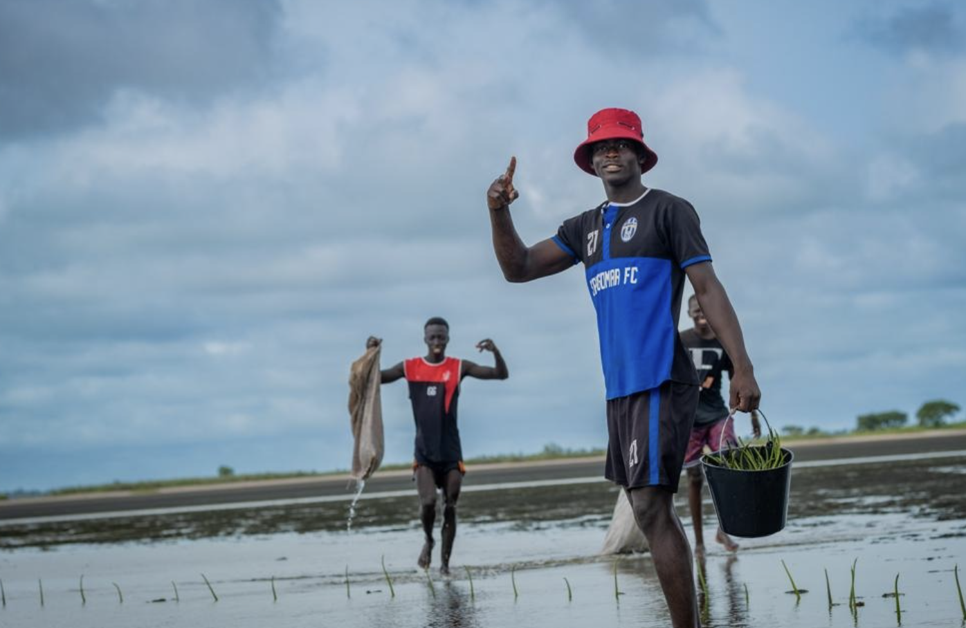 Verra and Hedera to Accelerate Digital Transformation of Carbon Markets ...